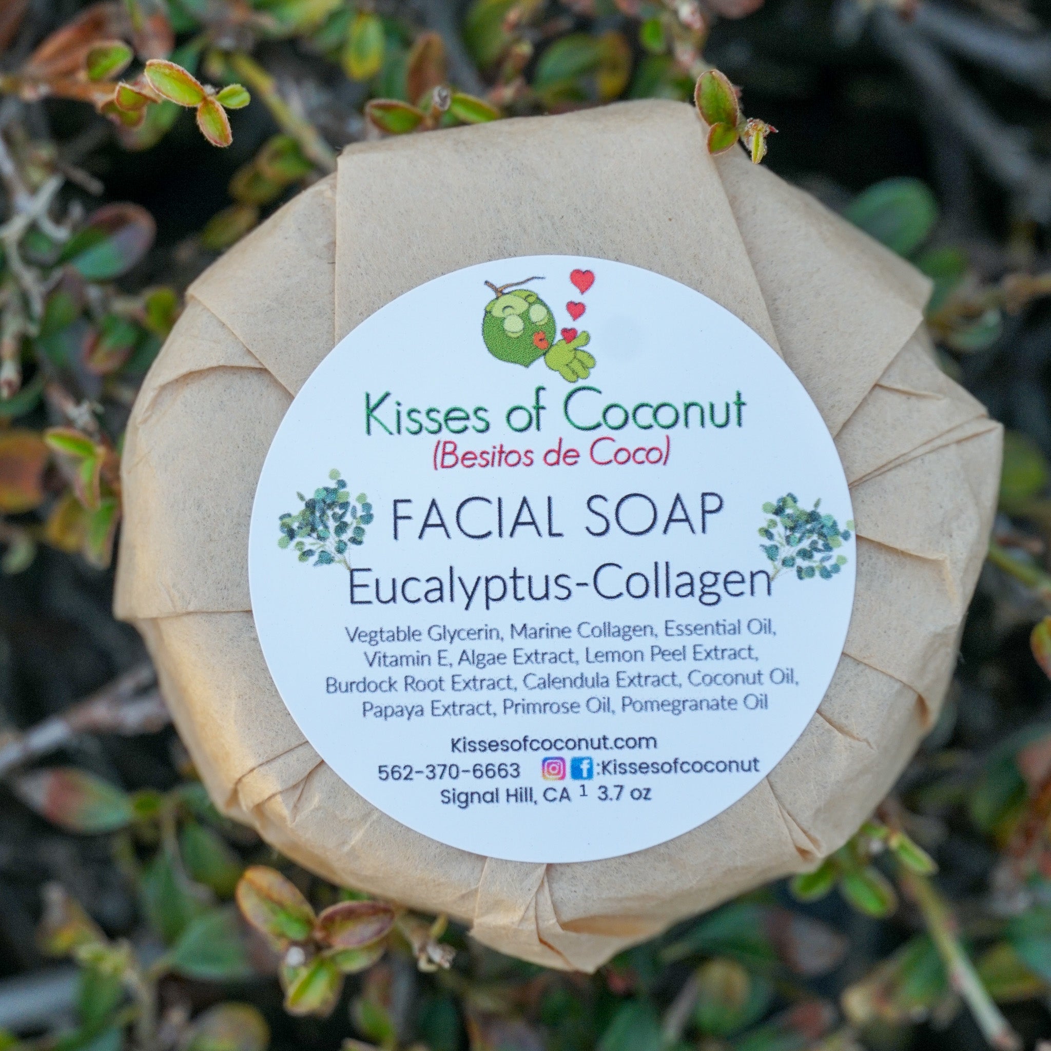 Rosemary Marine Collagen Facial Soap | Kisses of Coconut