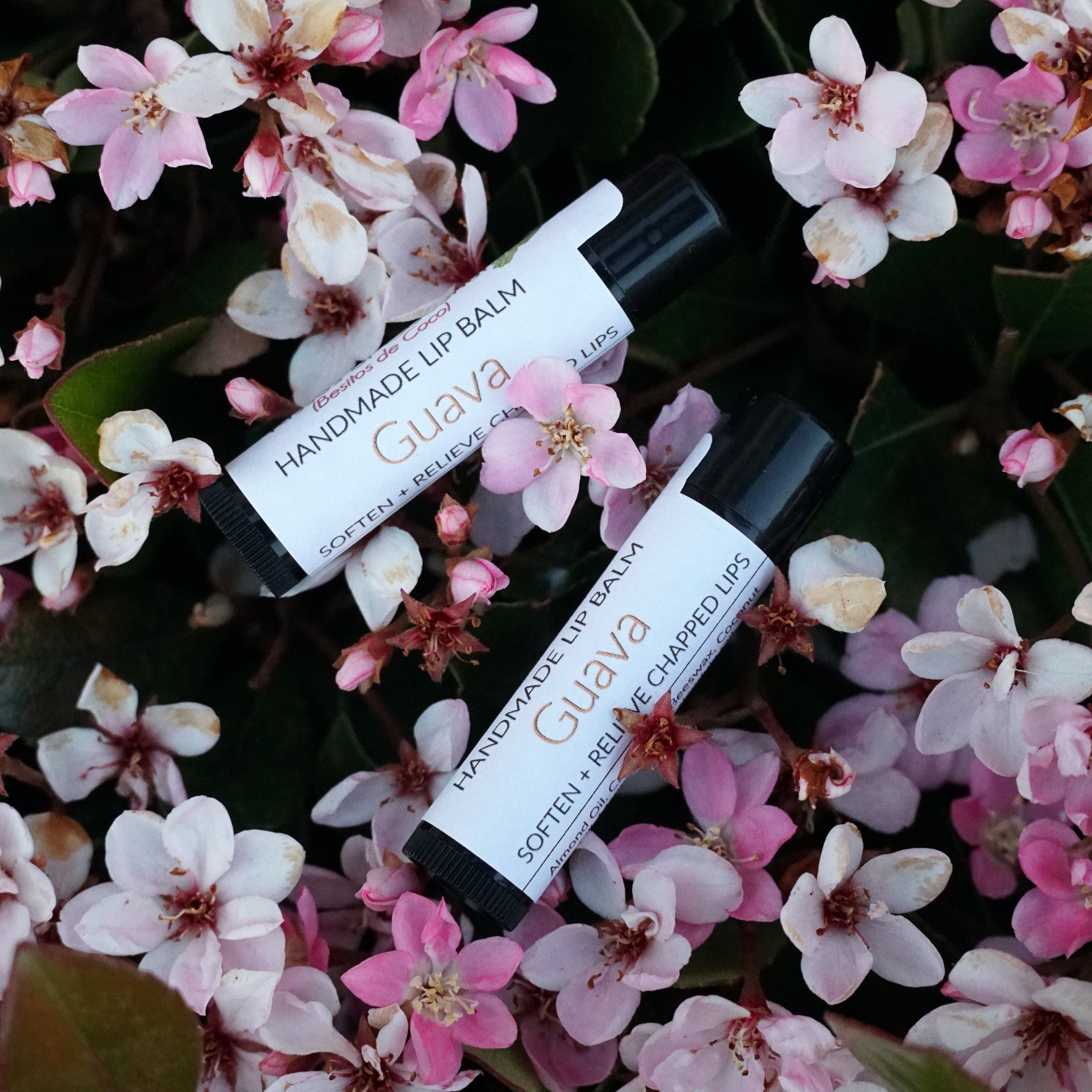 Mango Lip Balm | Treatment For Dry Lips | Kisses of Coconut