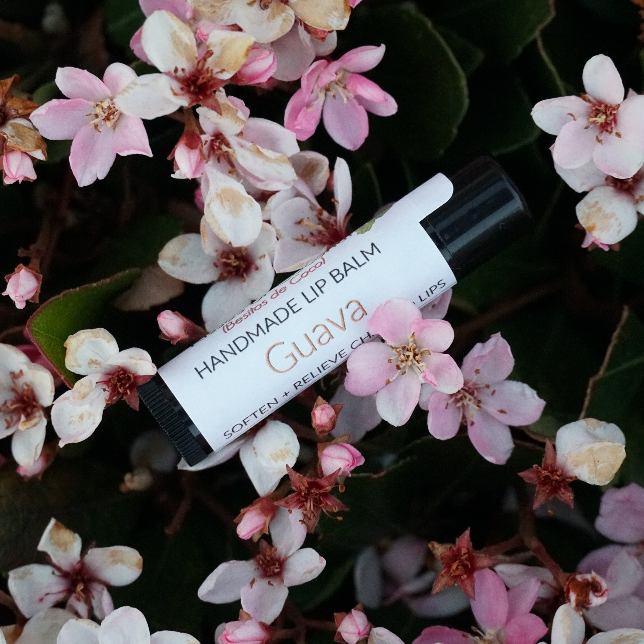 Mango Lip Balm | Treatment For Dry Lips | Kisses of Coconut