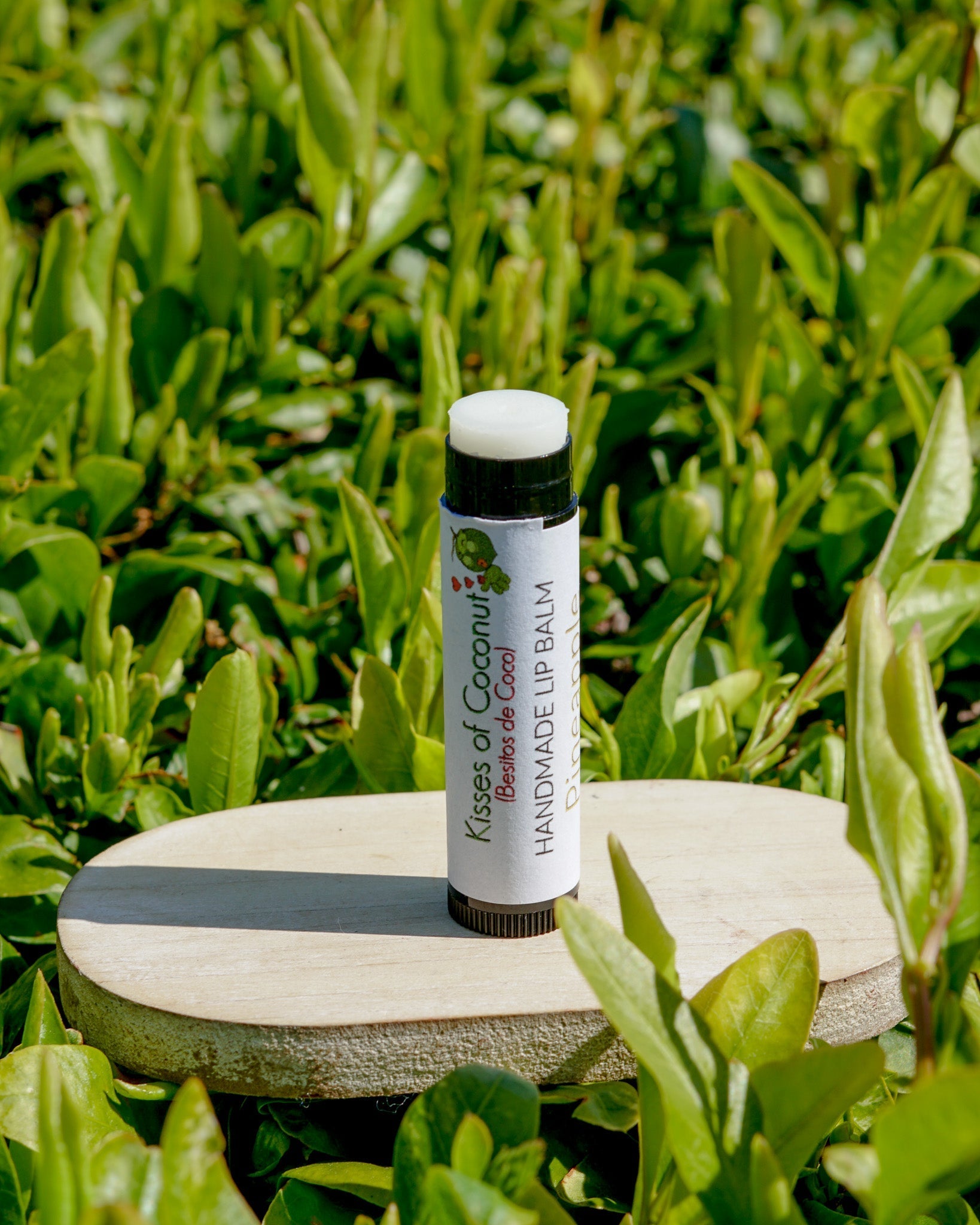 Mango Lip Balm | Treatment For Dry Lips | Kisses of Coconut